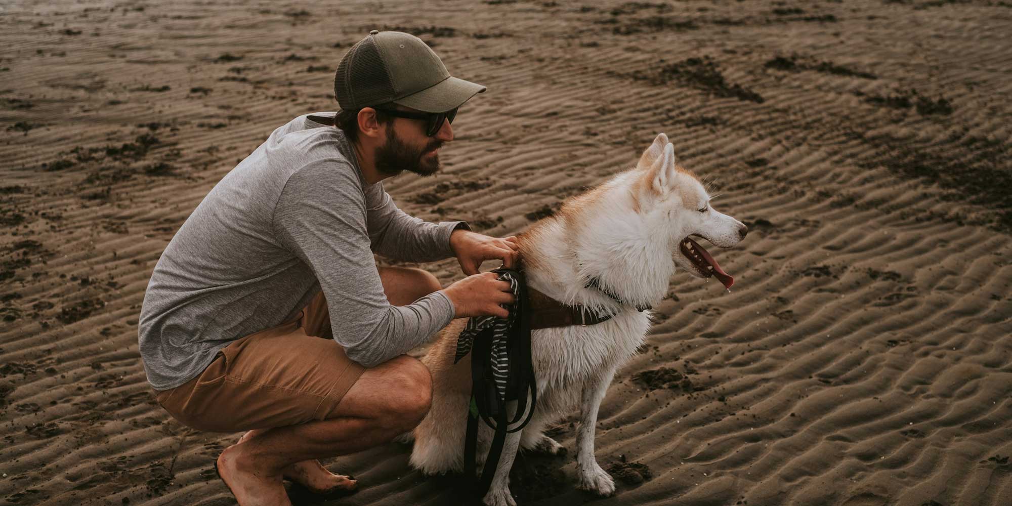 Emergency Veterinary Care In Beeliar, WA | The Village Veterinary Hospital